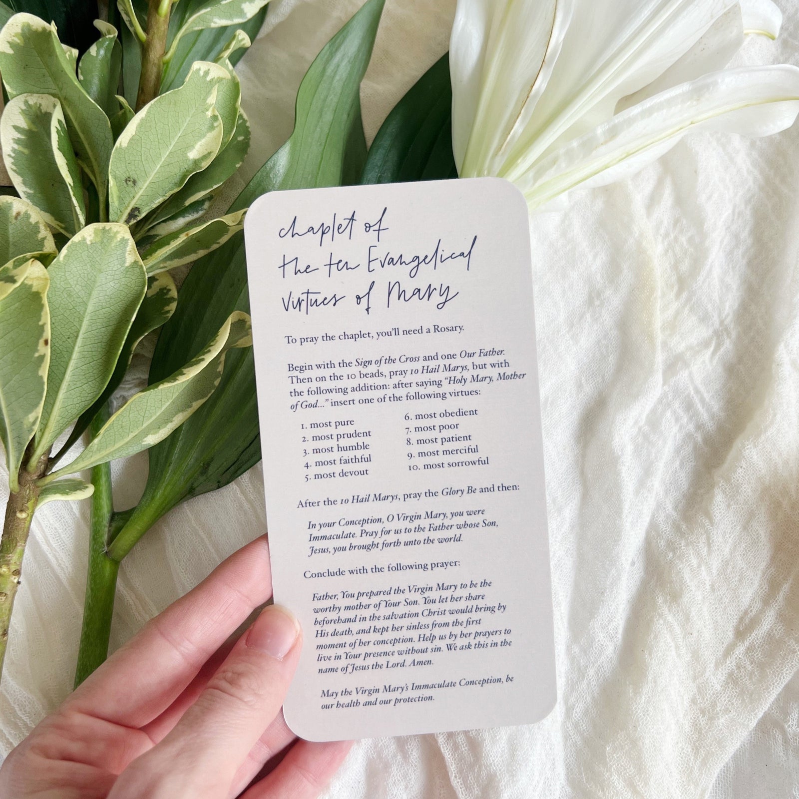 The Chaplet of the Ten Evangelical Virtues of Mary Prayer Card ...